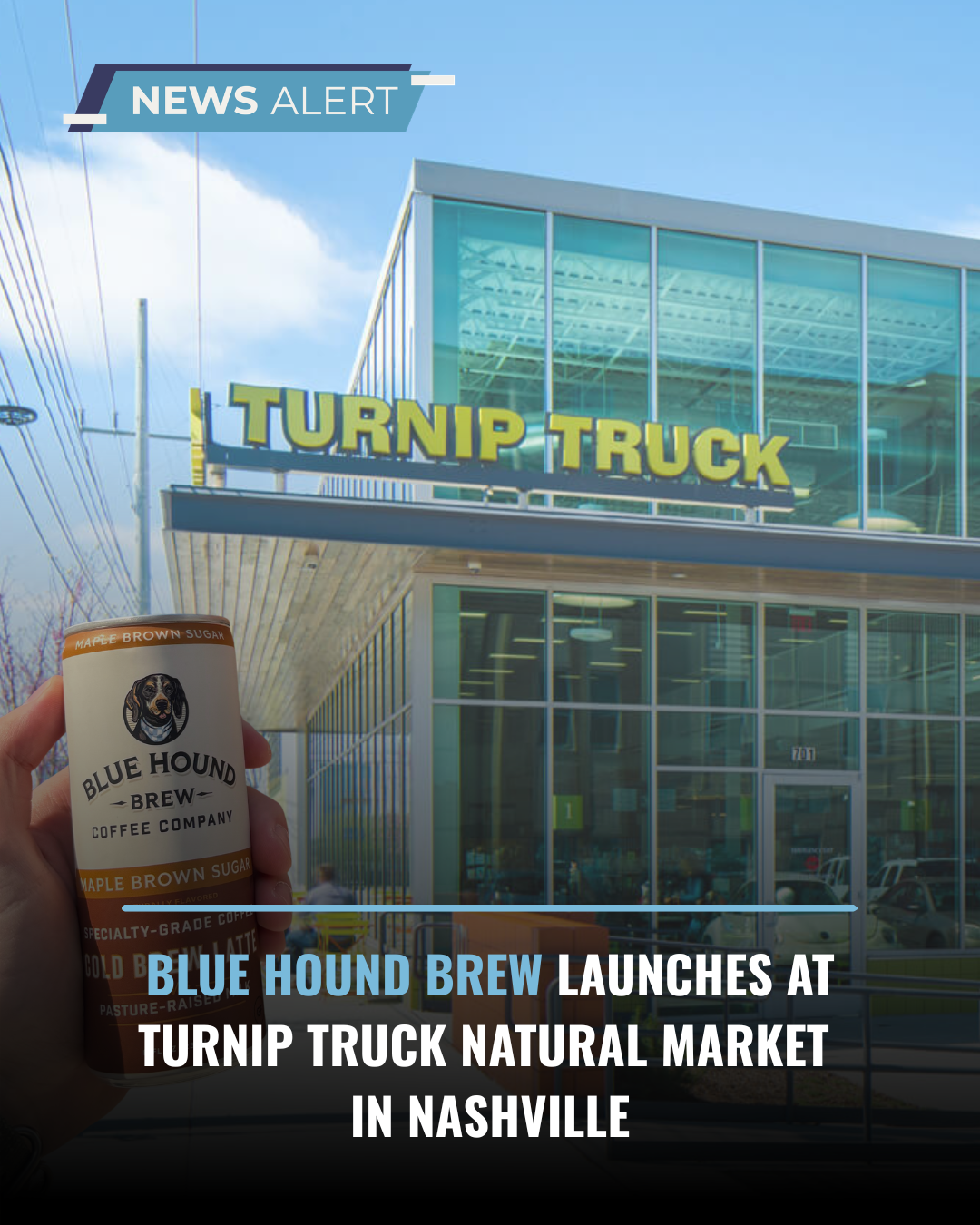 Blue Hound Brew Is Now Available at The Turnip Truck