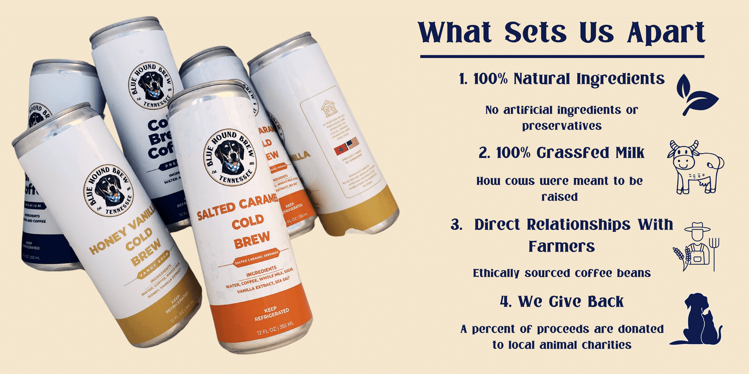 Blue Hound Brew - Canned Cold Brew